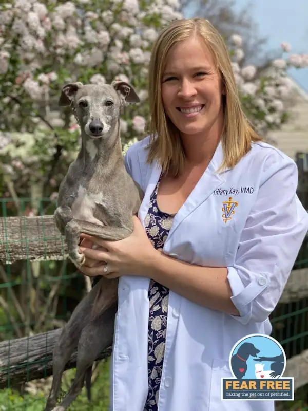 International & Interstate Pet Travel Information - Metropolitan ...